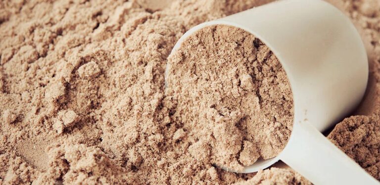 Protein 101 by Dr. Rob Wildman – Fitcart Blog